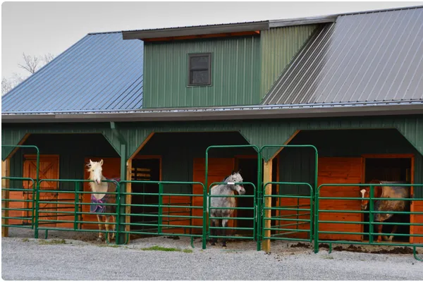 Pole Buildings & Pole Barn Builders | Delaware & Maryland Barndominiums